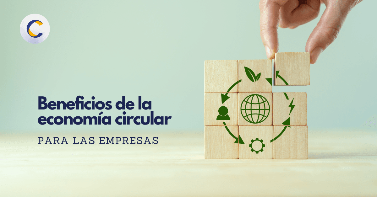 Economía Circular: Tejiendo un futuro sostenible a través de prácticas innovadoras y consumo ...